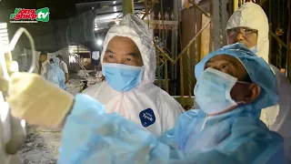 AVAC ASF LIVE - ‘lá chắn thép’ cứu đàn lợn