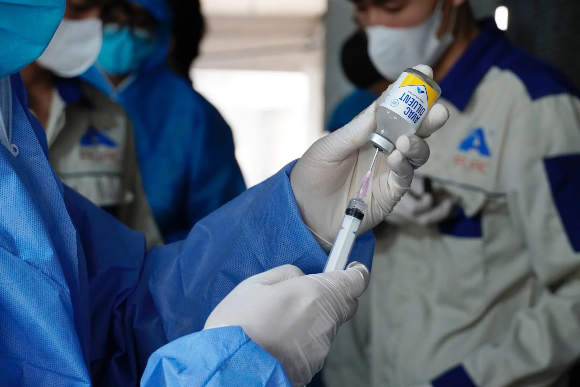 Tiêm thử nghiệm vacxin AVAC ASF LIVE cho lợn giống