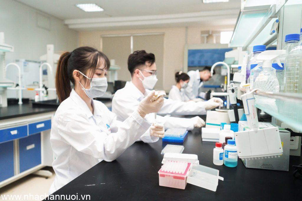 Nghiên cứu và sản xuất vắc-xin Dịch tả lợn châu Phi AVAC ASF LIVE