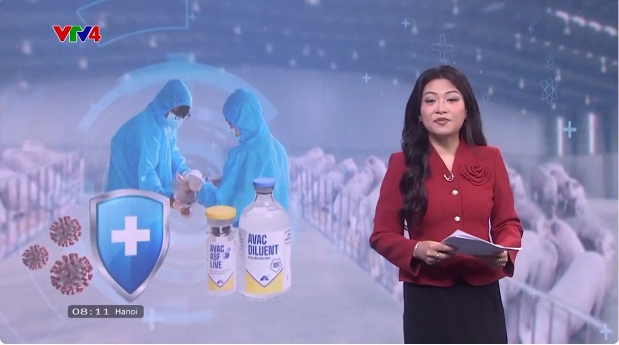 Vietnam's homegrown asf vaccine reaches global markets