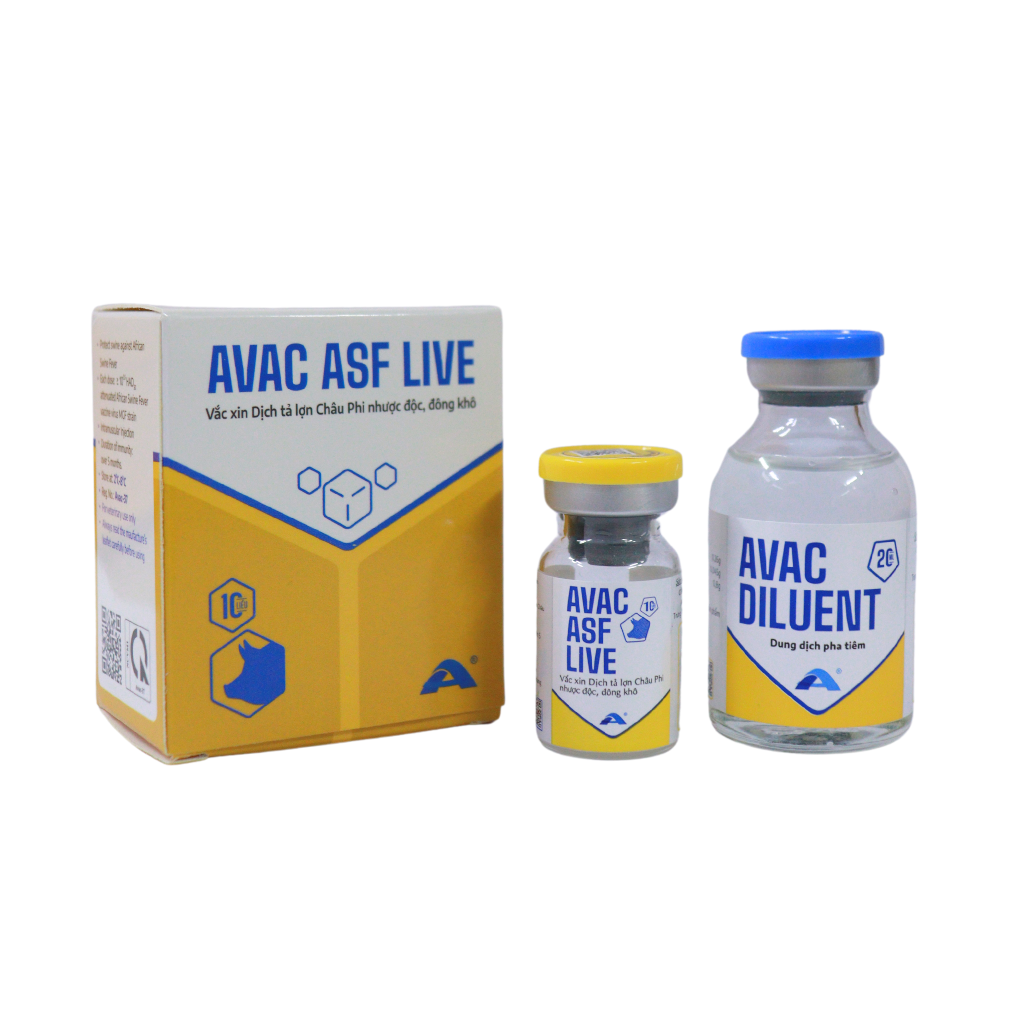 AVAC ASF LIVE